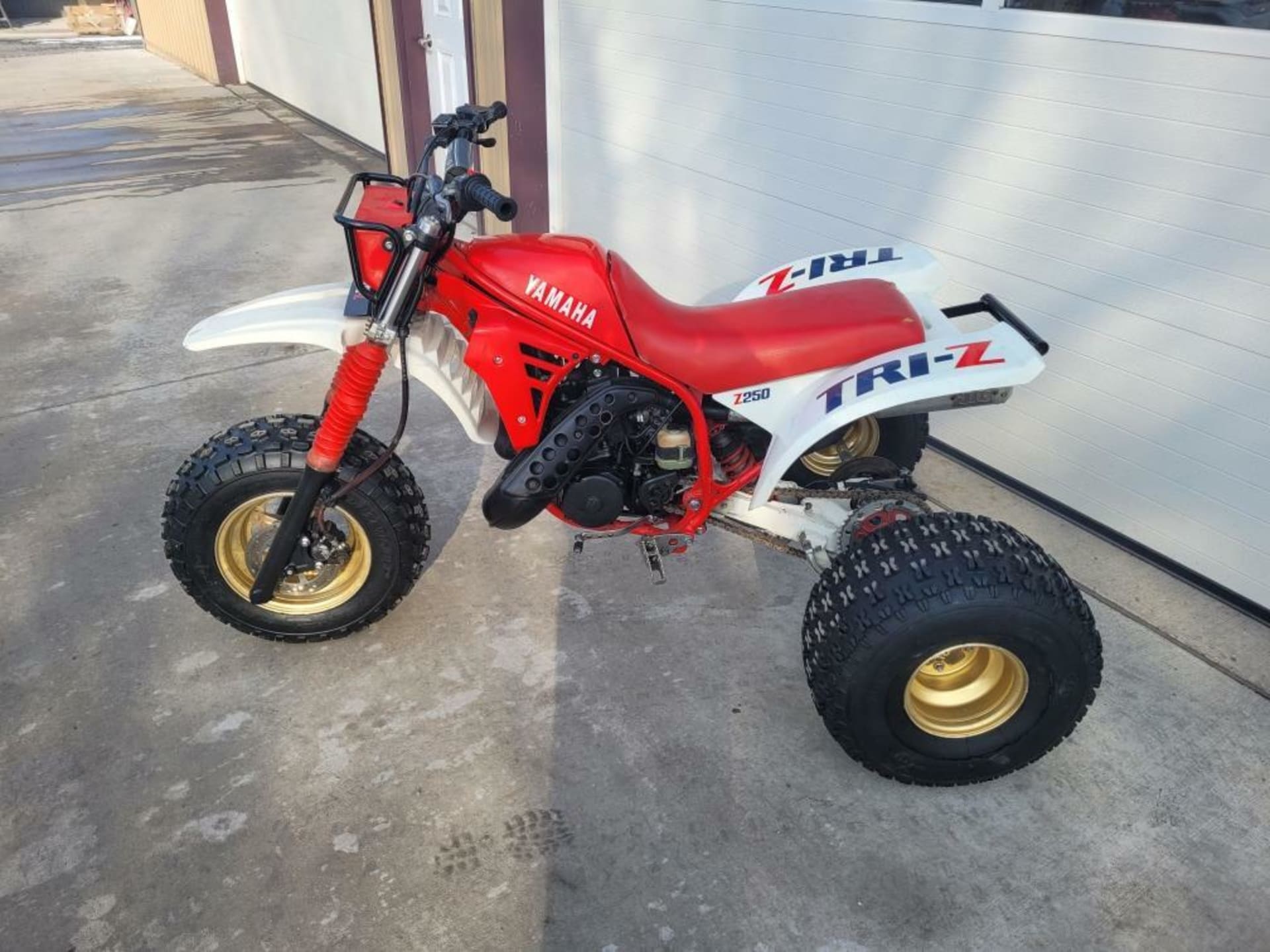1986 Yamaha Tri Z 250 at Kissimmee 2022 as G10.1 - Mecum Auctions