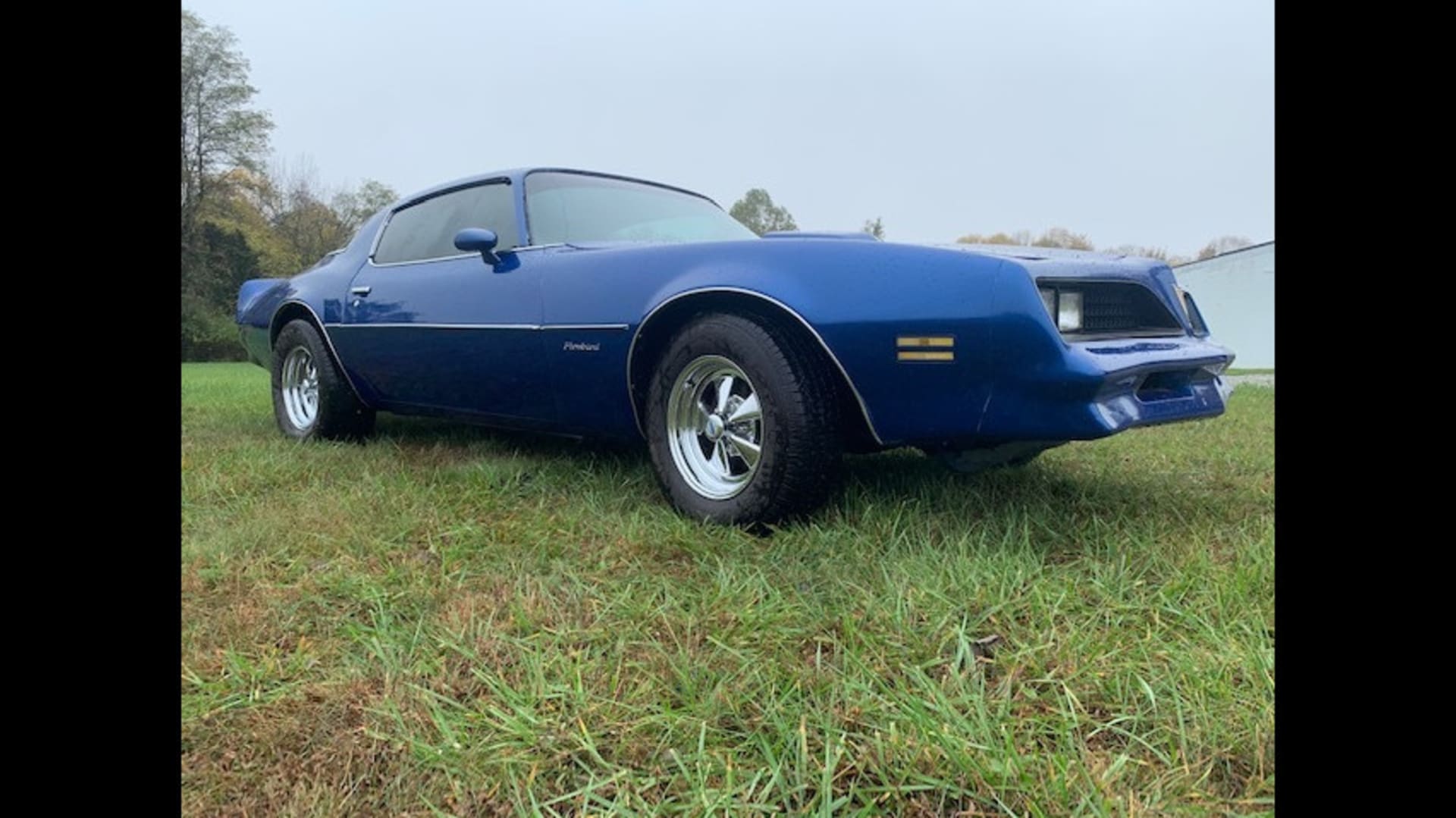 1978 Pontiac Firebird at Indy Fall Special 2020 as T75 - Mecum Auctions