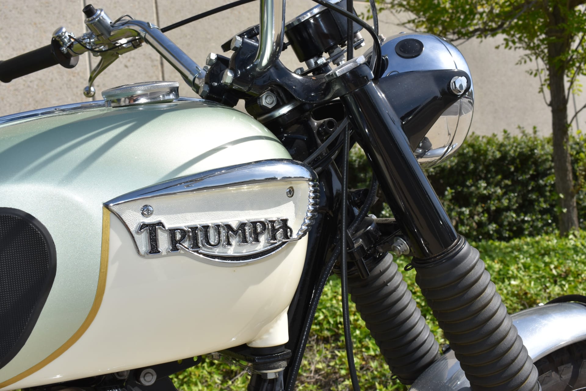 1967 Triumph TR6C Trophy at Las Vegas Motorcycles June 2017 as F146 ...