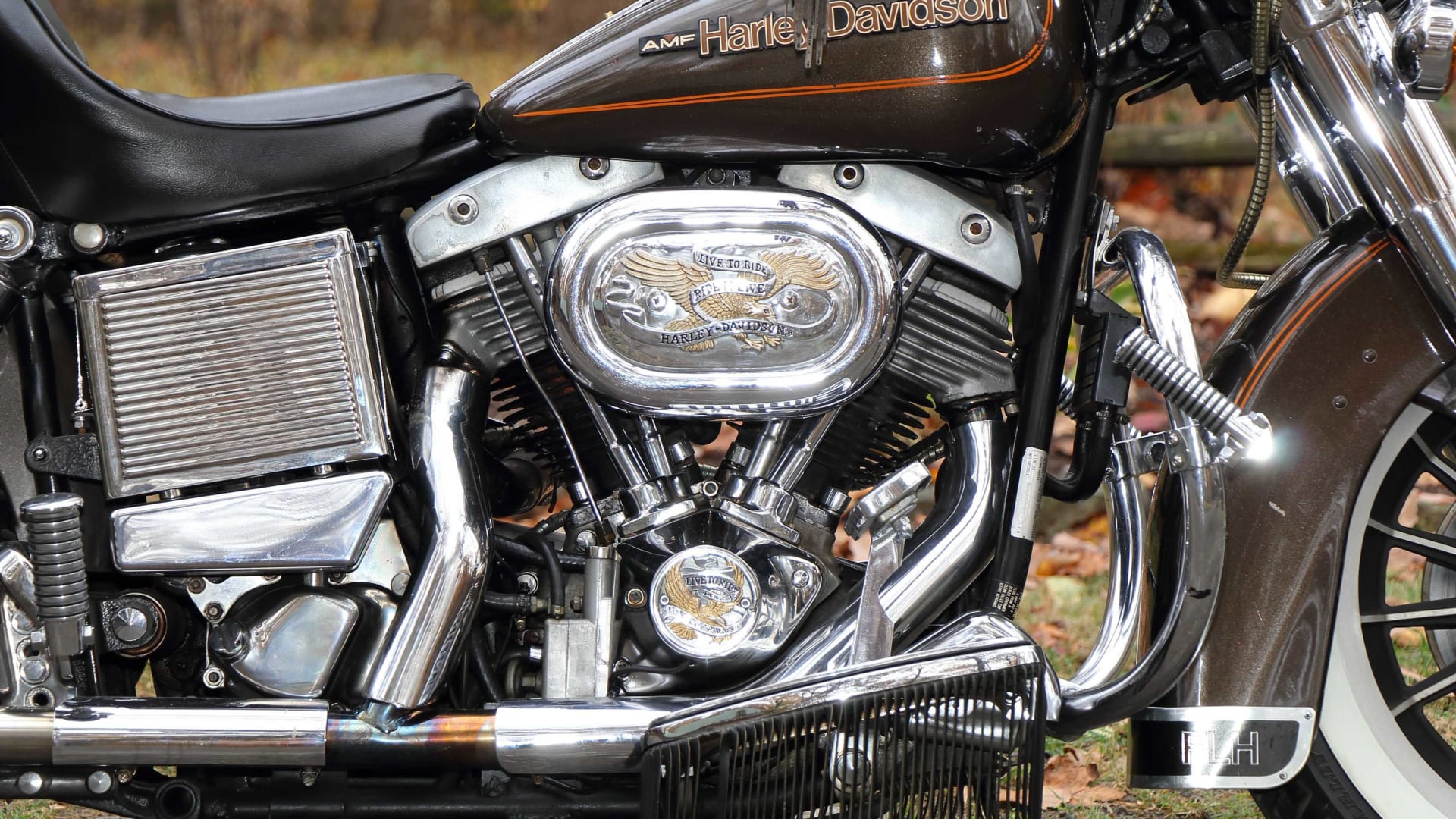 1978 Harley-Davidson FLH 1200 AMF at Las Vegas Motorcycles 2020 as W249 ...