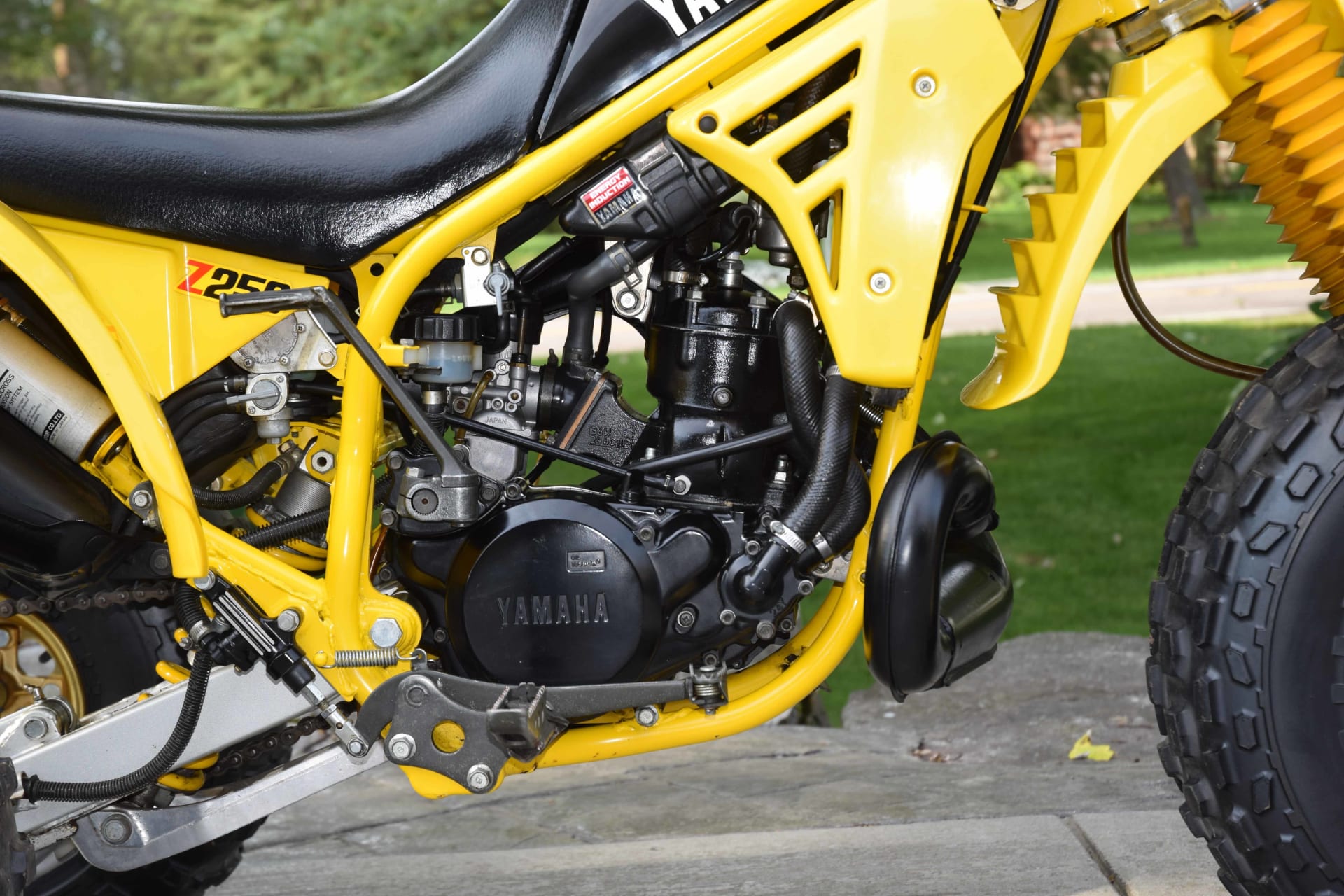 1985 Yamaha TRIZ 250 at Las Vegas Motorcycles 2020 as S10 - Mecum Auctions