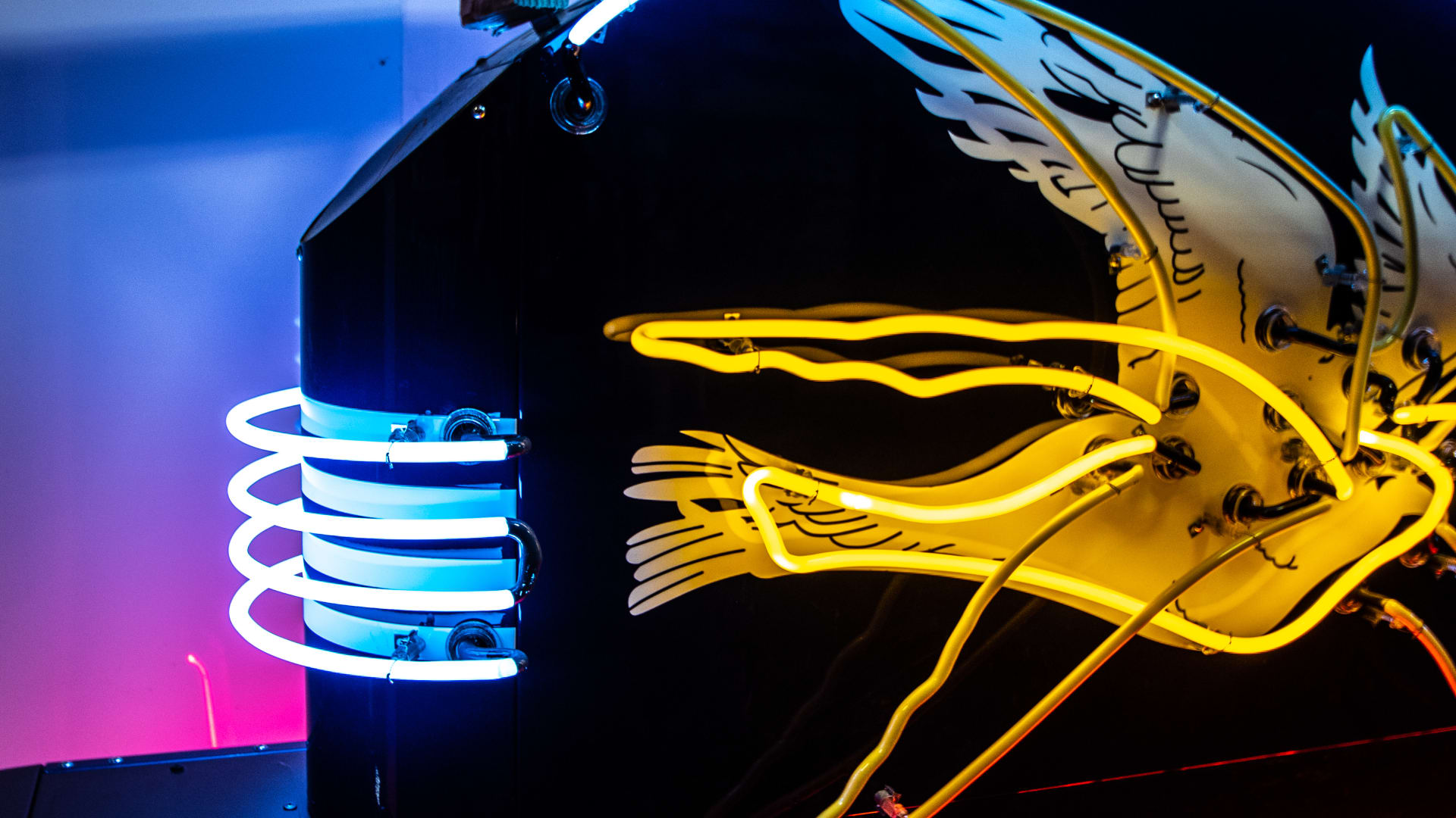 Night Hawk Double-Sided Neon Flasher 80x48x31 at Harrisburg Road Art ...