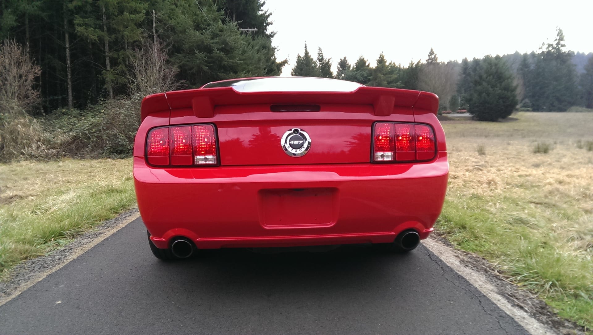 2008 Ford Mustang Roush 427R at Seattle 2014 as F266 - Mecum Auctions