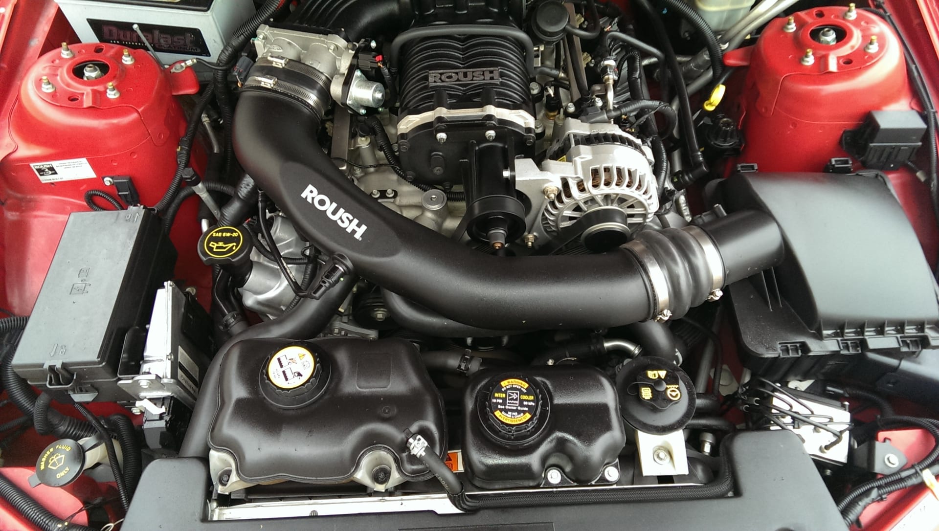 2008 Ford Mustang Roush 427R at Seattle 2014 as F266 - Mecum Auctions