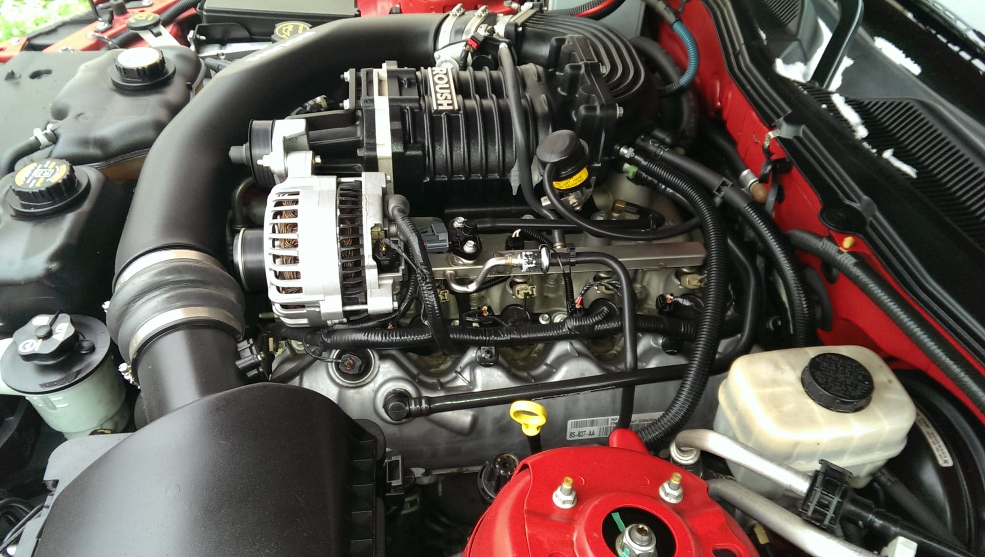 2008 Ford Mustang Roush 427R at Seattle 2014 as F266 - Mecum Auctions