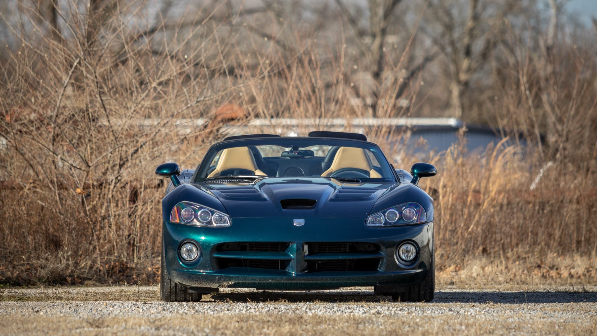 2010 Dodge Viper SRT-10 Convertible at Indy 2023 as T231 - Mecum Auctions