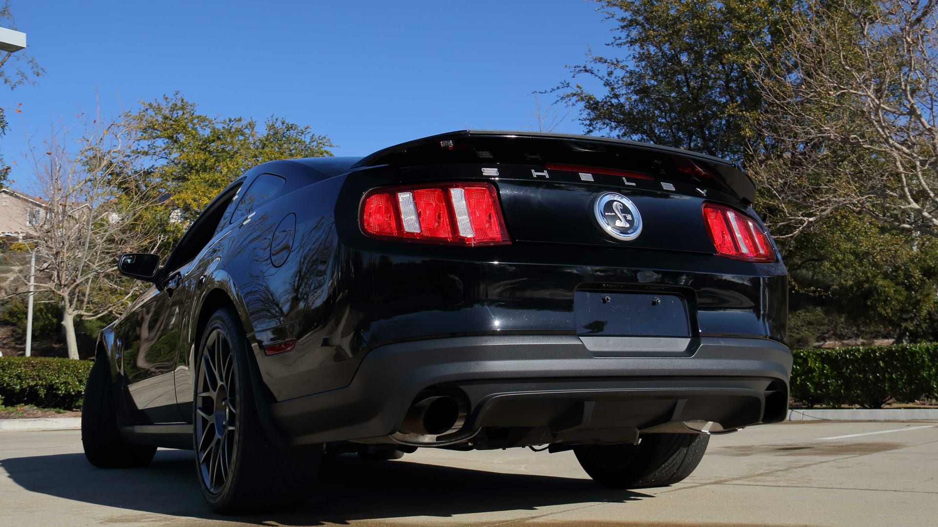 2011 Ford Shelby GT500 at Glendale 2023 as T193 - Mecum Auctions