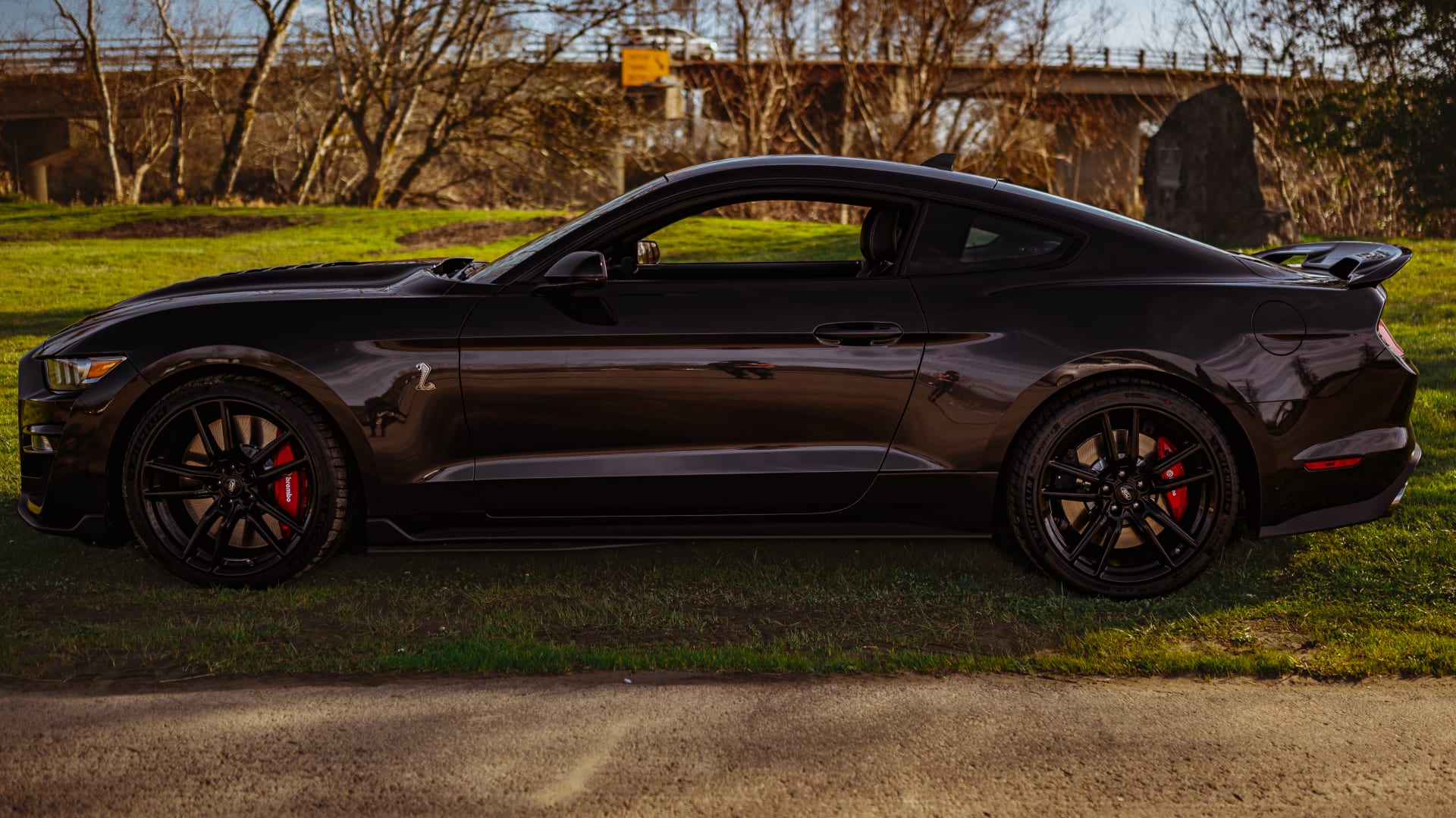 2022 Ford Shelby GT500 at Glendale 2023 as F219 - Mecum Auctions