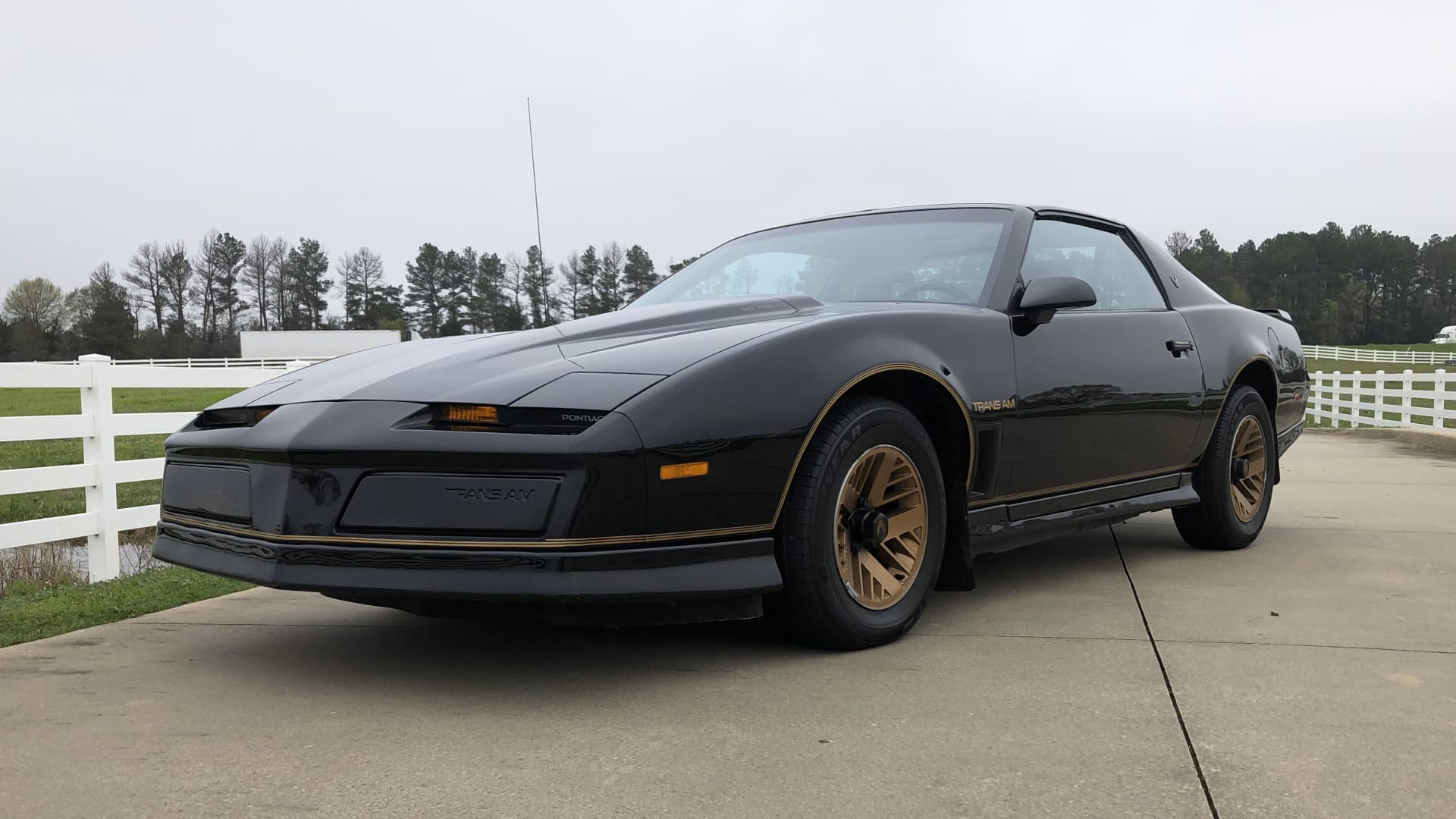 1984 Pontiac Trans Am at Indy 2023 as J110 - Mecum Auctions