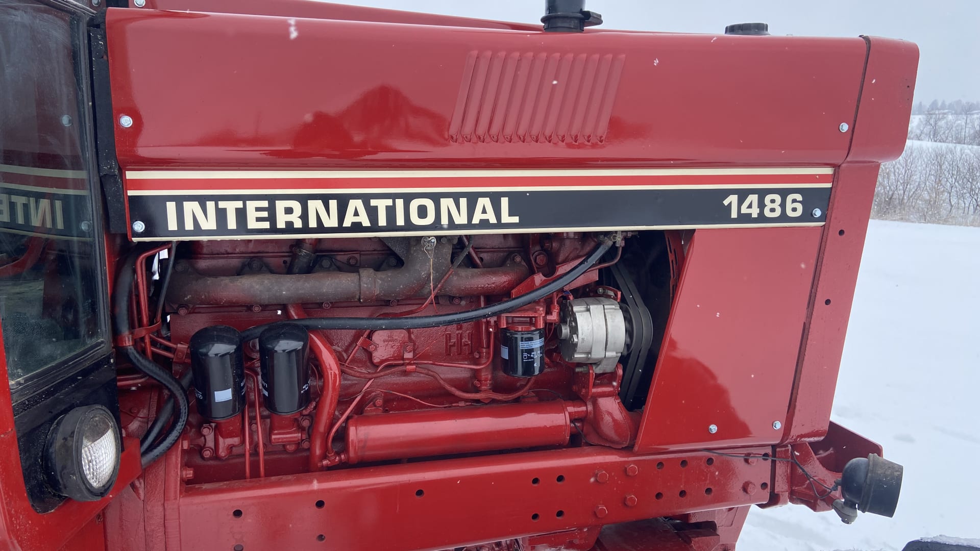 1981 International 1486 at Gone Farmin' Spring Classic 2023 as S32 ...