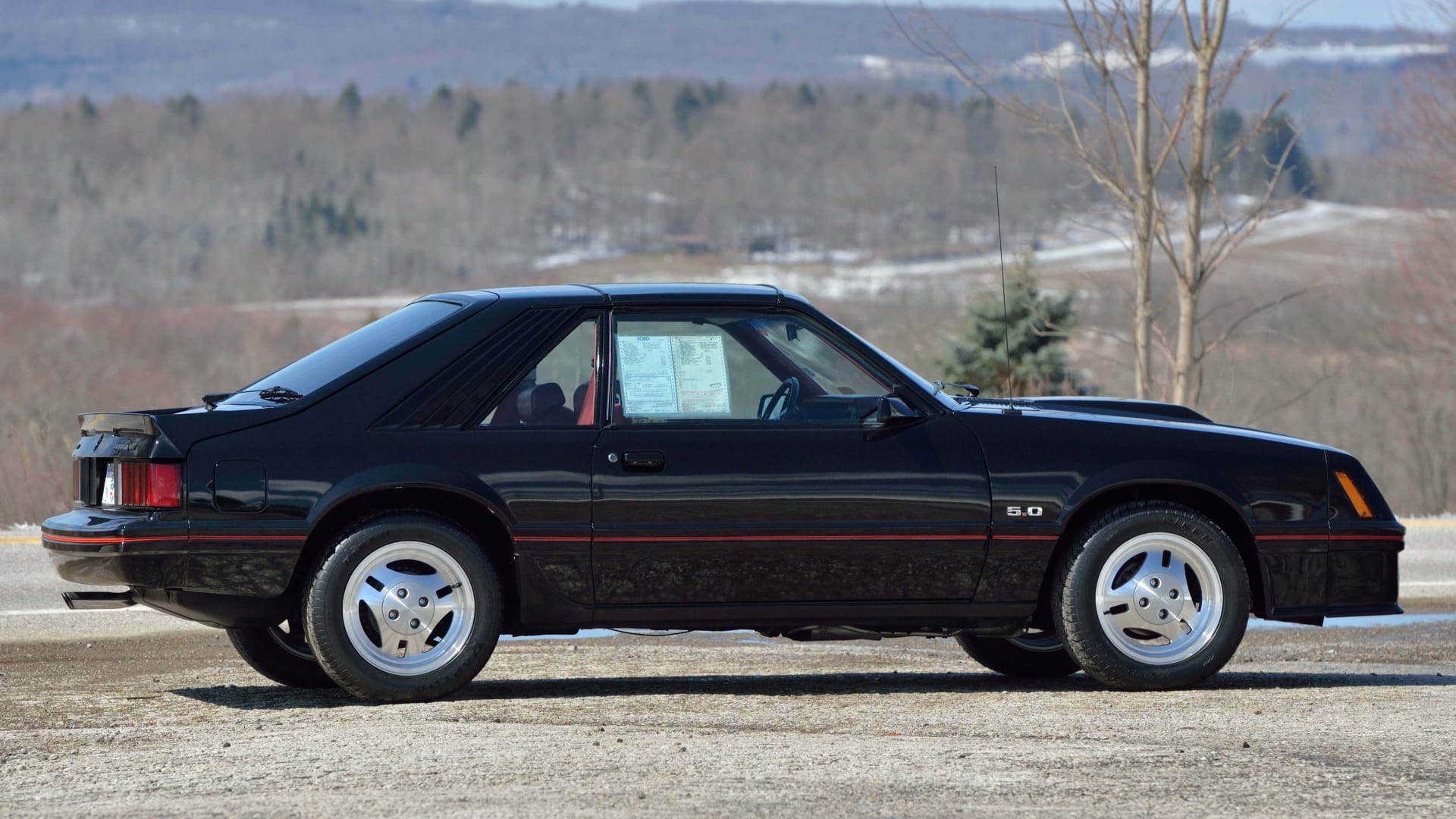 1982 Ford Mustang GT at Indy 2023 as T142.1 - Mecum Auctions
