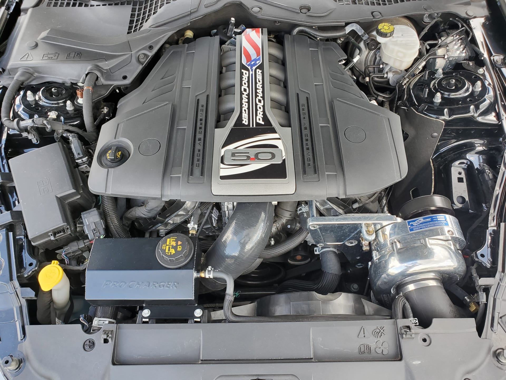 2018 Ford Mustang GT Fastback at Houston 2023 as T338 - Mecum Auctions