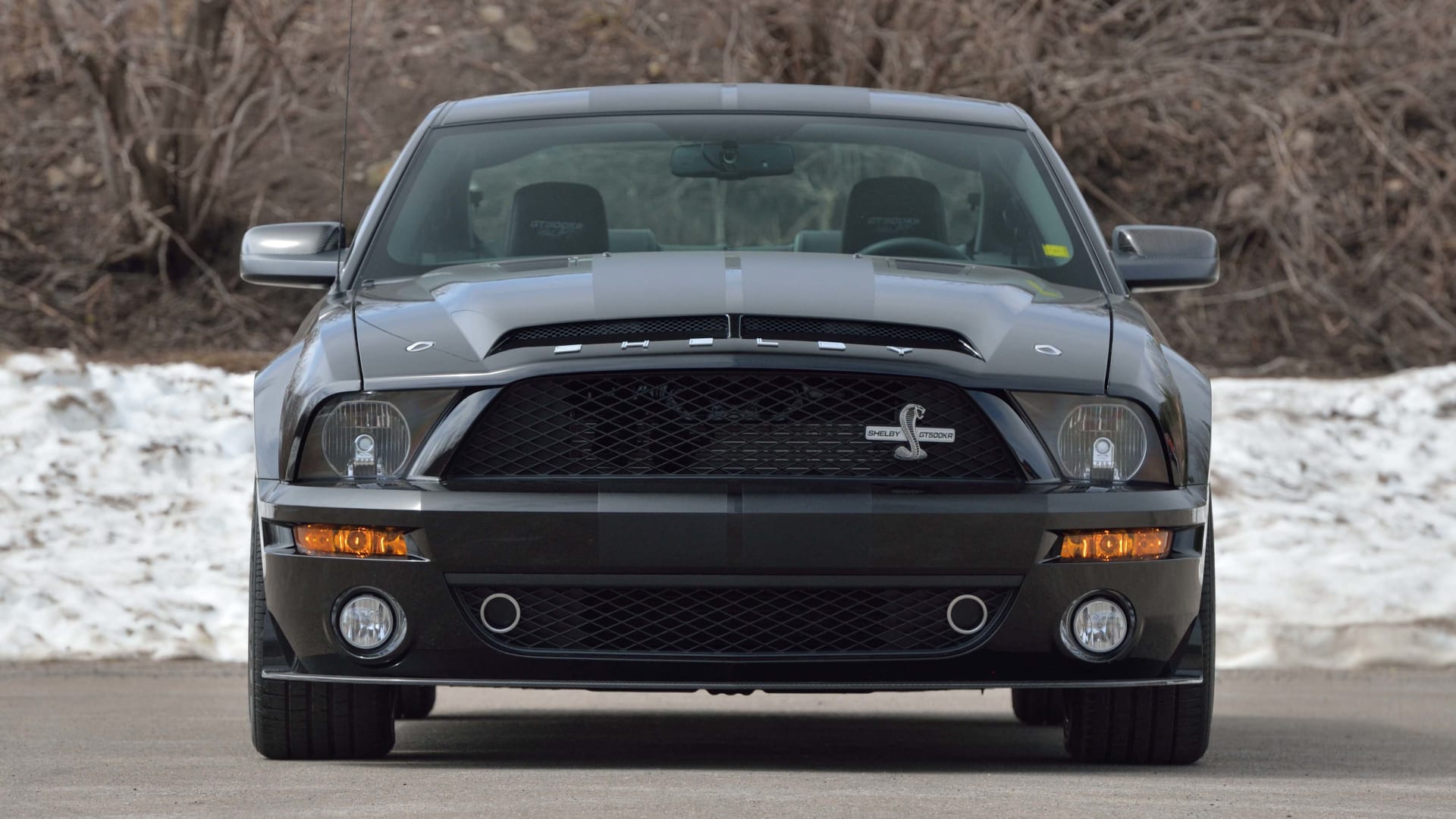 2009 Ford Shelby GT500KR at Indy 2023 as K209 - Mecum Auctions