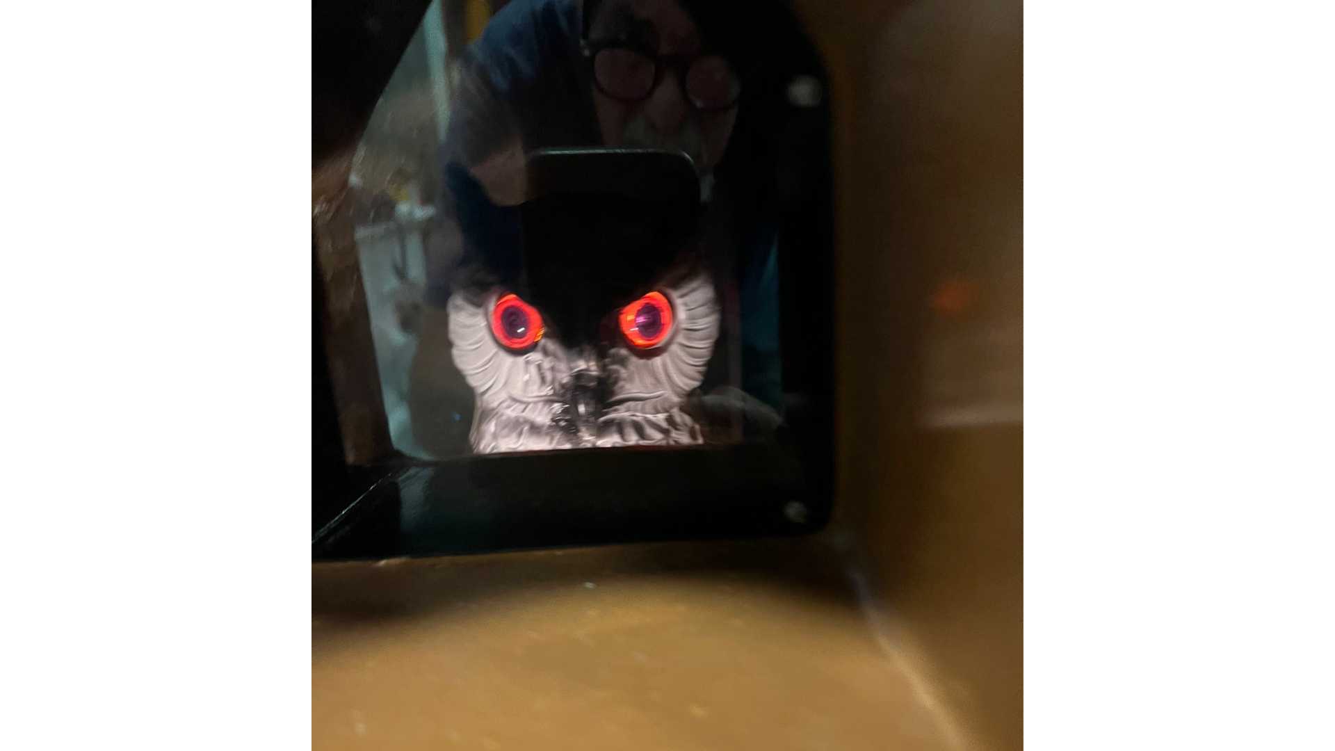 Noah's Arc Kiddie Ride with Animated Screen at Indy 2023 as Z734 ...