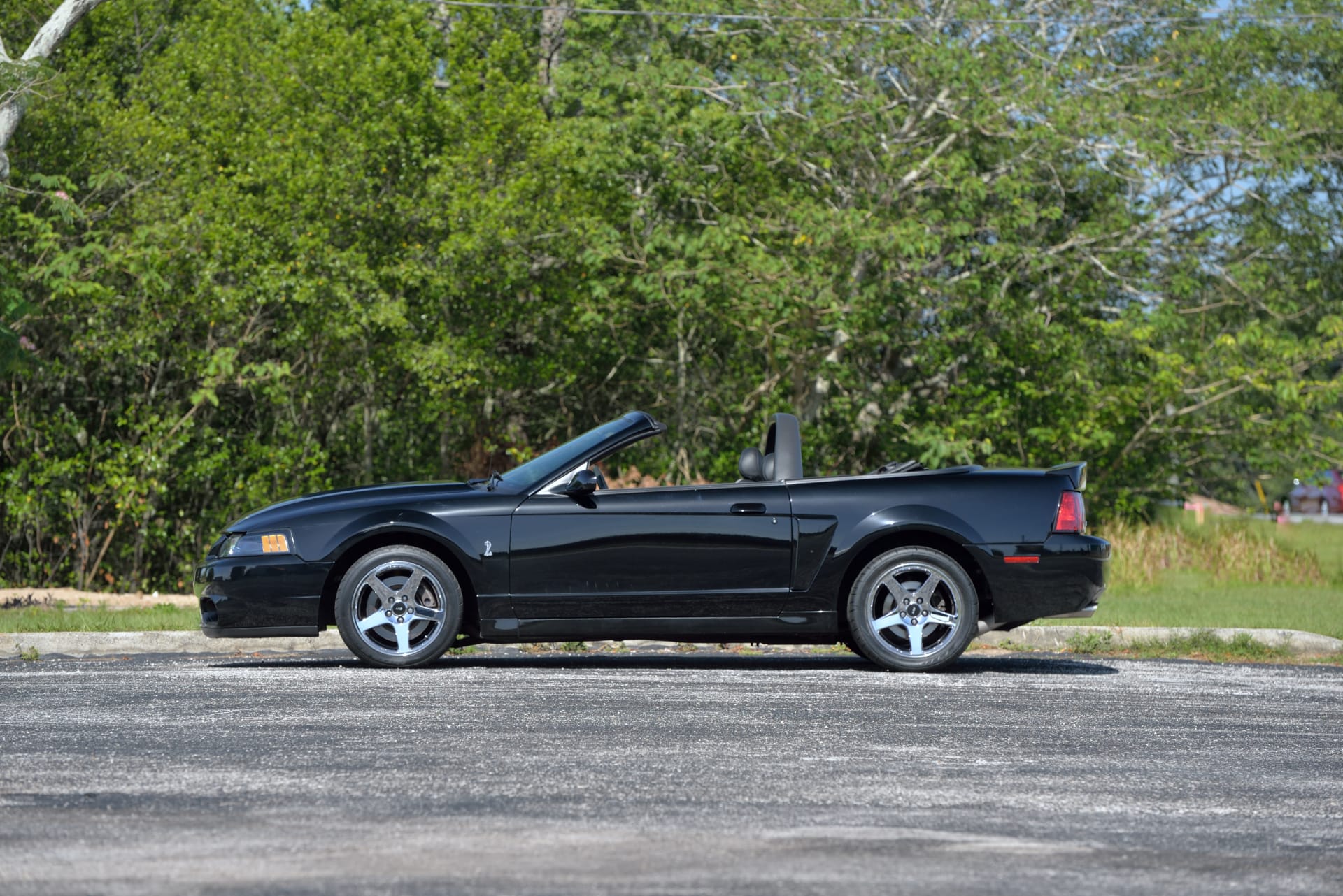 2003 Ford Mustang SVT Cobra Convertible at Indy 2023 as W140 - Mecum ...