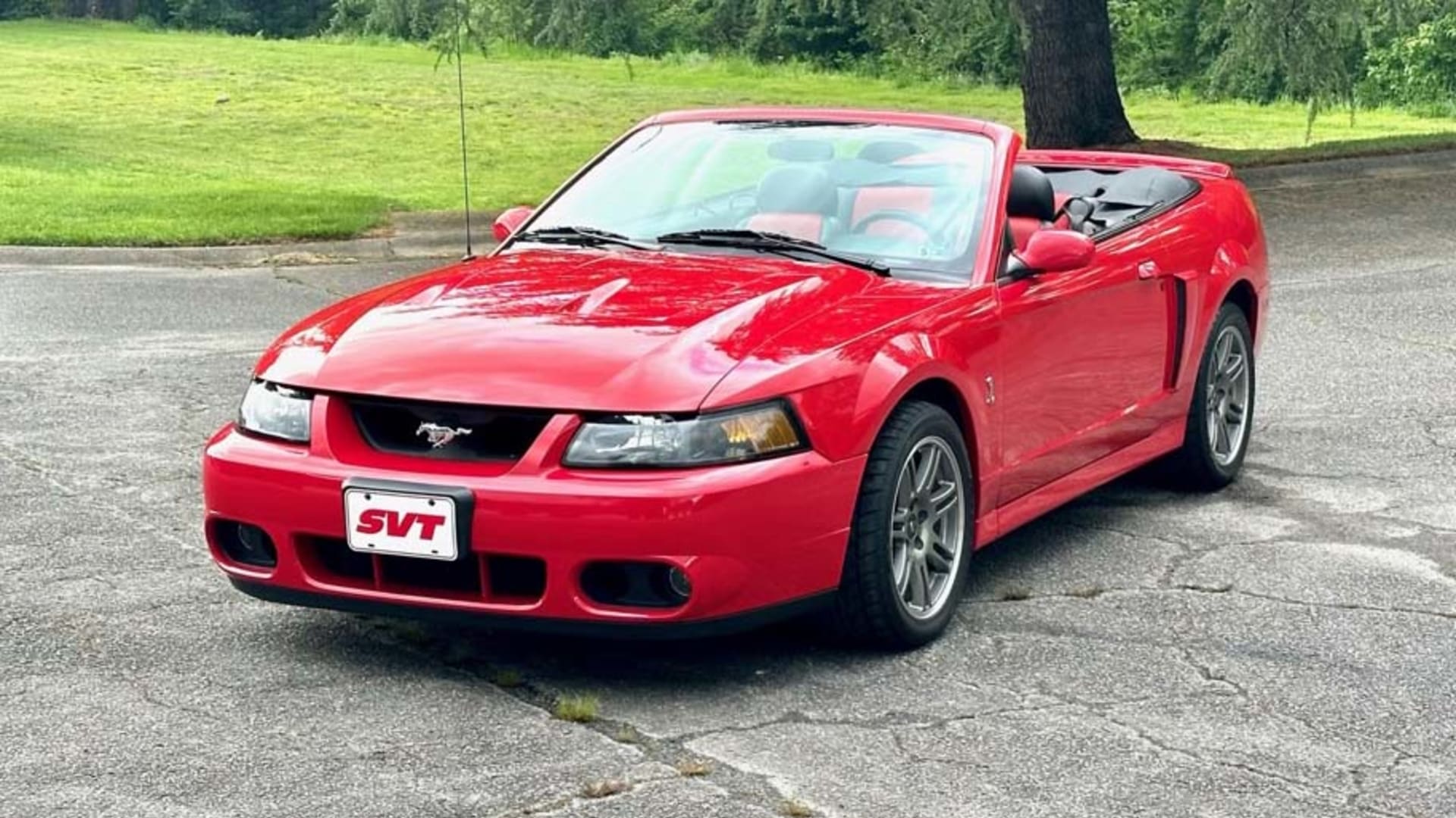 2003 Ford Mustang SVT Cobra Convertible at Indy 2023 as S53.1 - Mecum ...