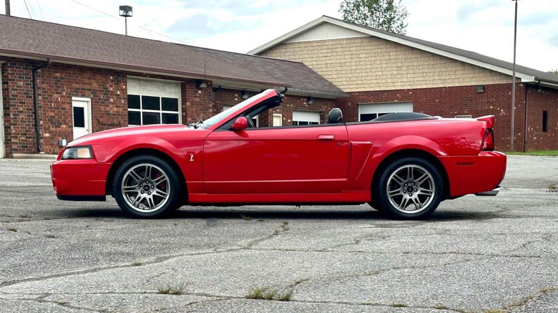 2003 Ford Mustang SVT Cobra Convertible at Indy 2023 as S53.1 - Mecum ...