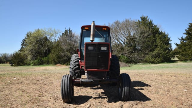 1985 International 3688 at The Abilene Machine Collection 2021 as F81 ...
