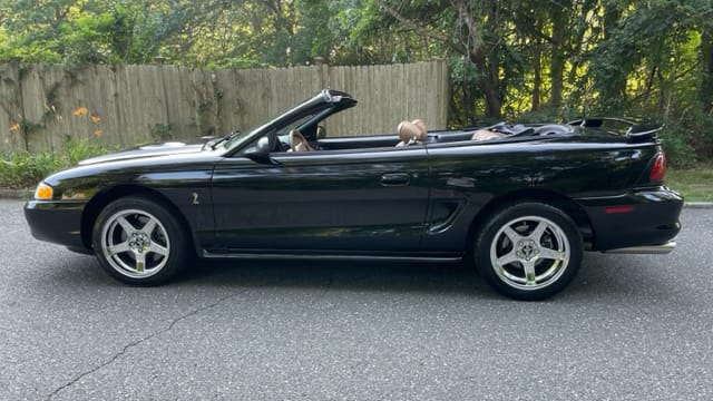 1996 Ford Mustang SVT Cobra Convertible at Harrisburg 2023 as T56 ...
