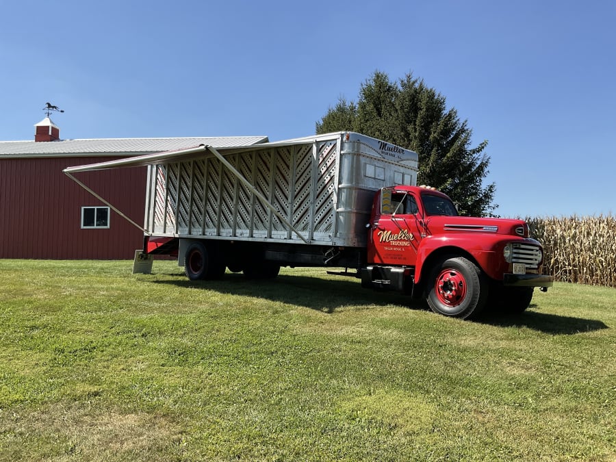 1950 Ford F8 at Gone Farmin' Fall Premier 2022 as K79 - Mecum Auctions