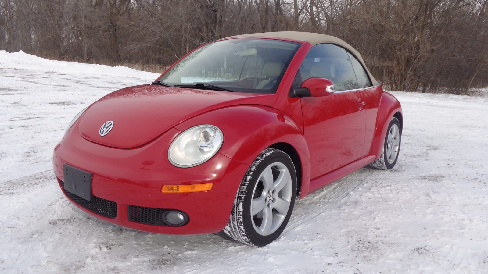 2007 Volkswagen Beetle at Kissimmee 2015 as L122 - Mecum Auctions