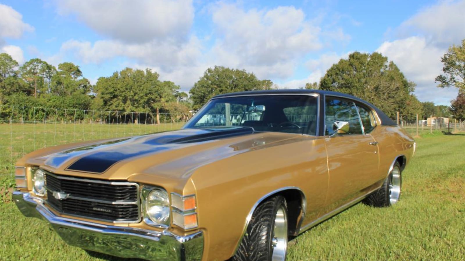 1971 Chevrolet Chevelle at Kissimmee 2019 as W276 - Mecum Auctions