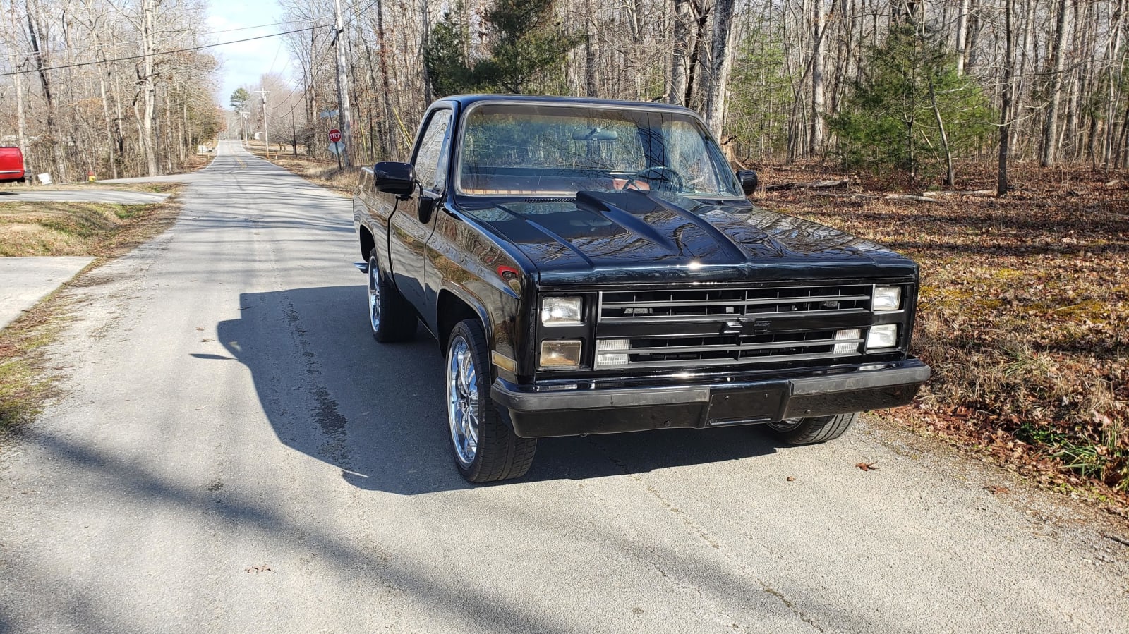 1982 Chevrolet Custom Deluxe at Kissimmee 2021 as G84 - Mecum Auctions