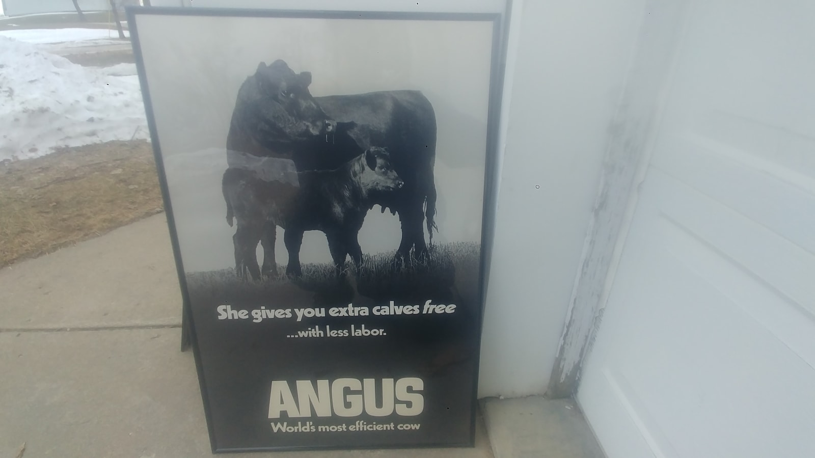 Angus Poster And Framed Article at Davenport 2019 as M407 - Mecum Auctions
