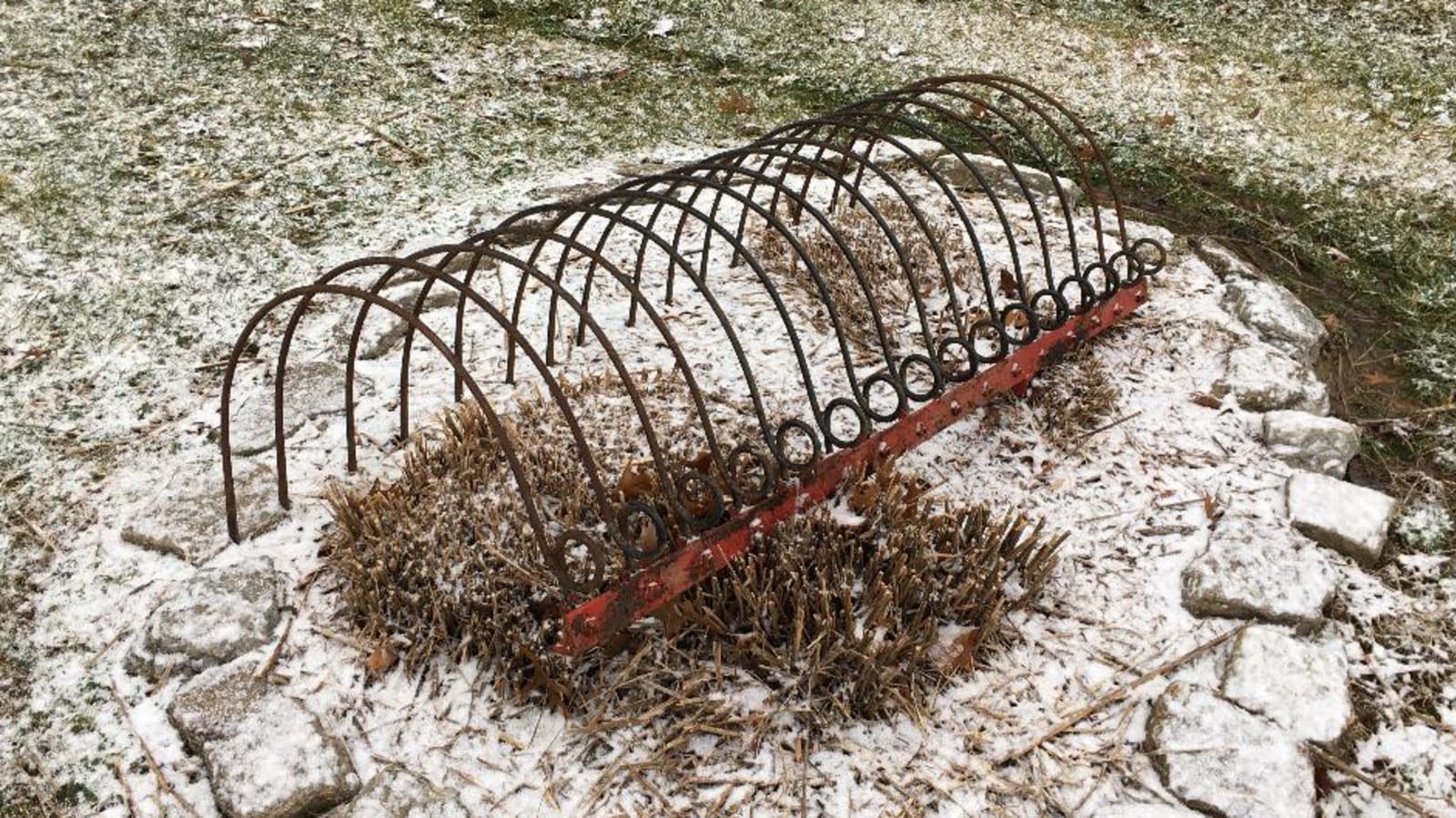 David Bradley Plow, Disk And Hay Rake Lot Of 3 at Gone Farmin' Fall ...