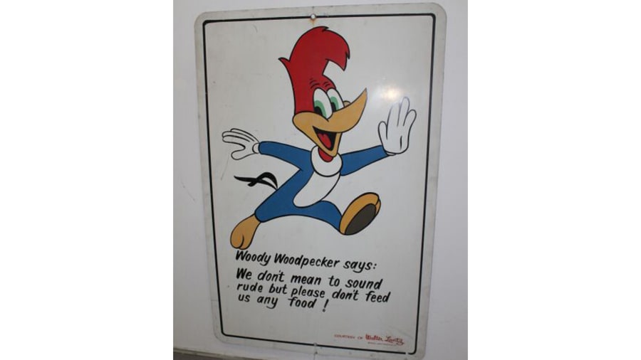 1984 Zoo Woody Sign Walter Lantz 24x36 at Anaheim 2015 as J39 - Mecum ...