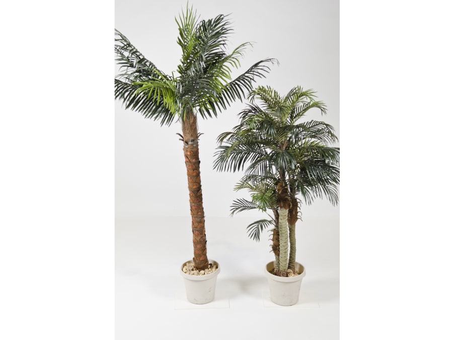2 Decorative Palm Trees at Fran and Ron Green's Verde Classics Museum ...