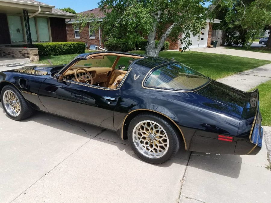 1981 Pontiac Trans Am SE at Chicago 2017 asF254 - Mecum Auctions