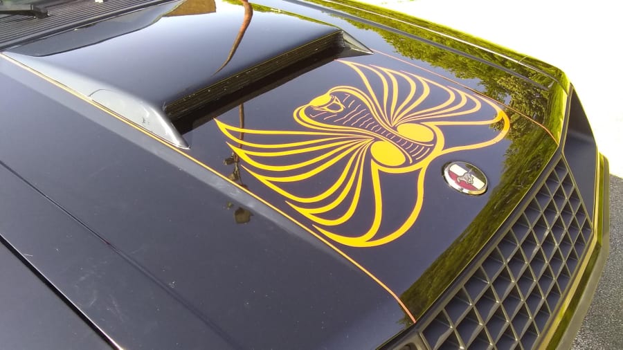 1980 Mustang Cobra Decal