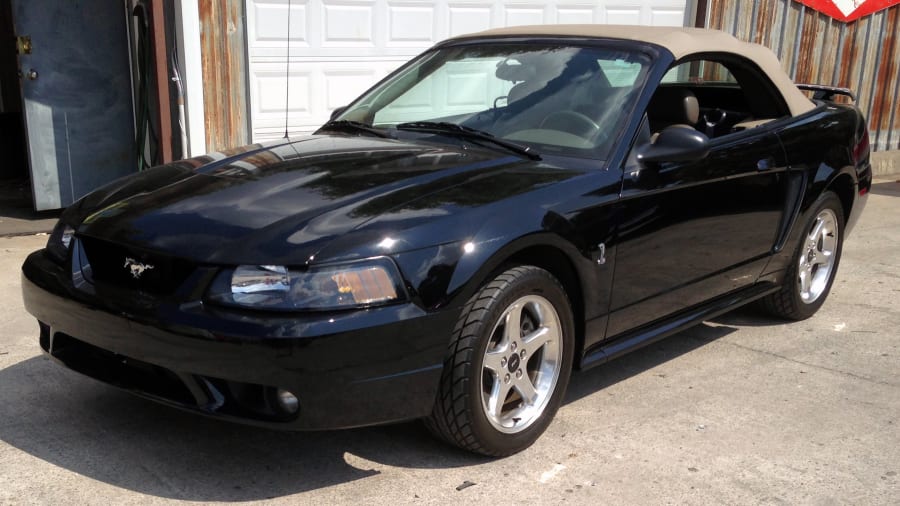 2001 Ford Mustang Cobra Convertible for Sale at Auction - Mecum Auctions