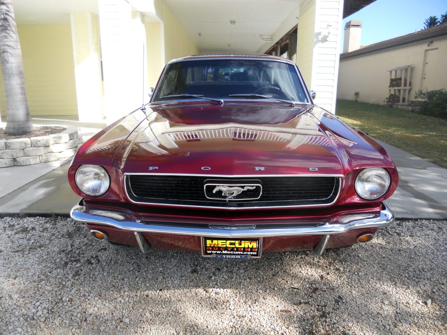 1966 Ford Mustang Notchback at Kissimmee 2012 as G52 - Mecum Auctions