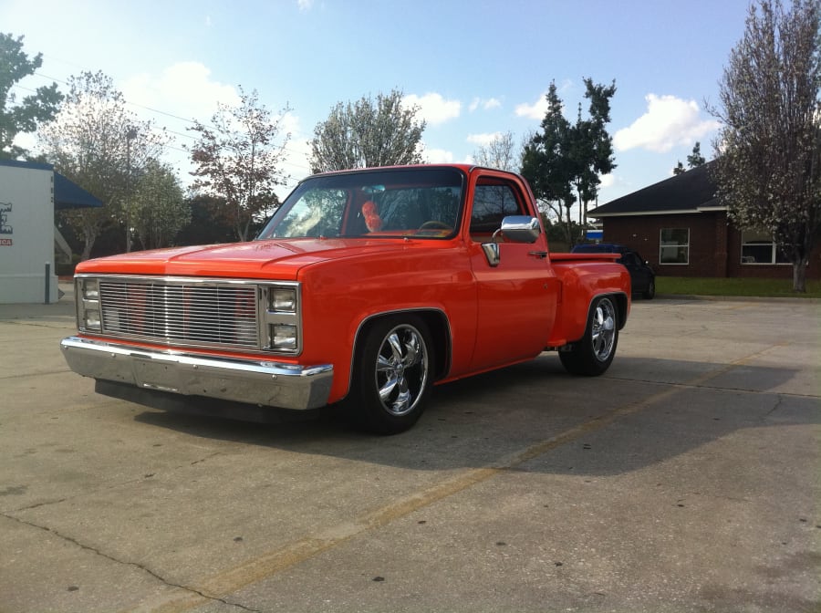 1981 Chevrolet Pickup at Kissimmee 2012 as F176.1 - Mecum Auctions