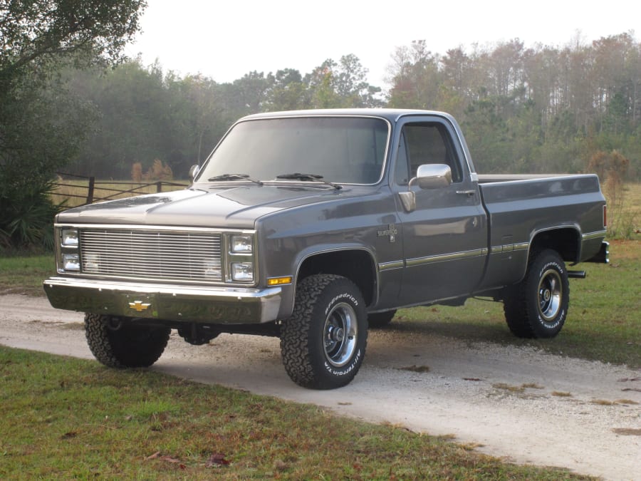1987 Chevrolet Pickup at Kissimmee 2018 as G107 - Mecum Auctions