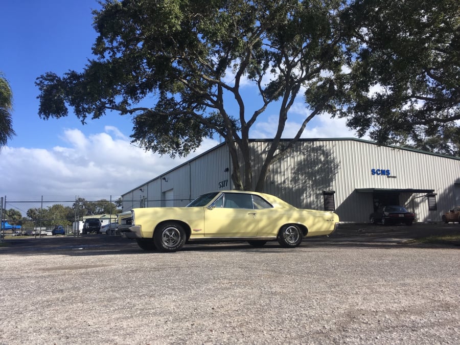 1966 Pontiac GTO for Sale at Auction - Mecum Auctions