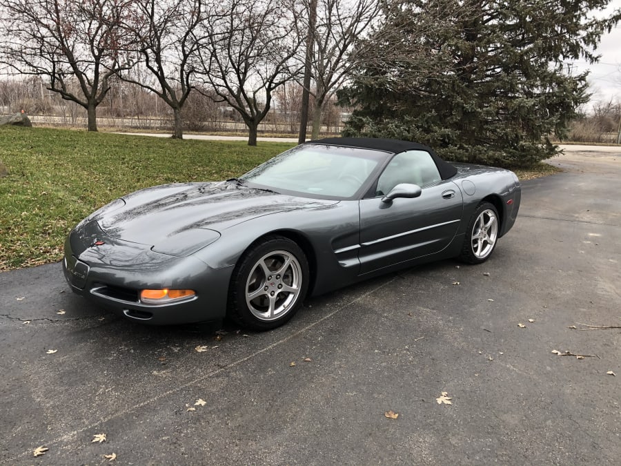 2004 Chevrolet Corvette Convertible for Sale at Auction - Mecum Auctions