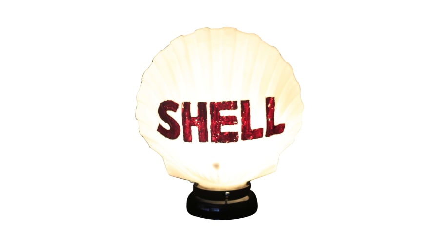 Shell Clam Globe 19x12 for Sale at Auction - Mecum Auctions