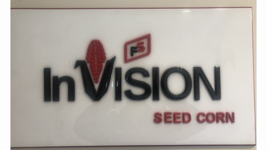 FS Invision Wood Sign 28x16 for Sale at Auction - Mecum Auctions