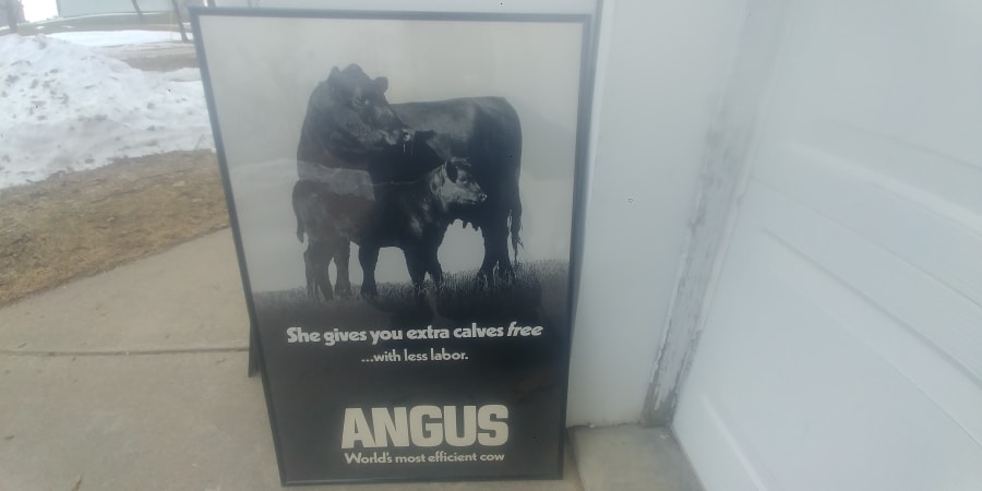 Angus Poster And Framed Article at Davenport 2019 as M407 - Mecum Auctions