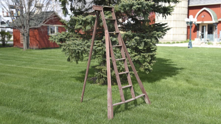 Apple Ladder at Charles Schneider Collection 2016 as M119 - Mecum Auctions