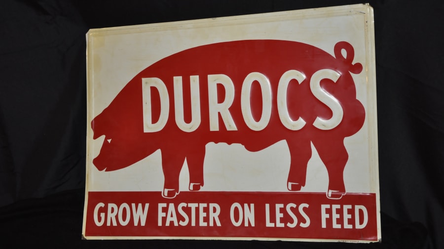 Durocs SST 24x18 at Gone Farmin' Fall Premier 2020 as M160 - Mecum Auctions