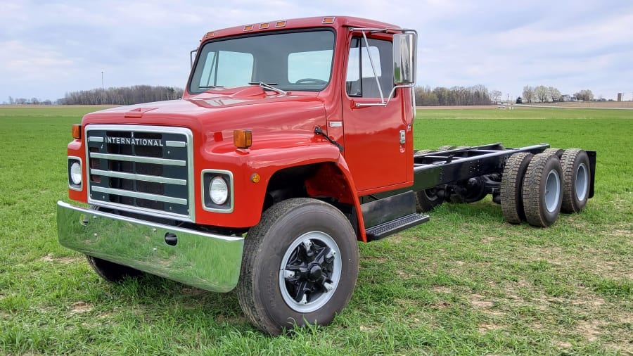 1982 International Model F for Sale at Auction - Mecum Auctions