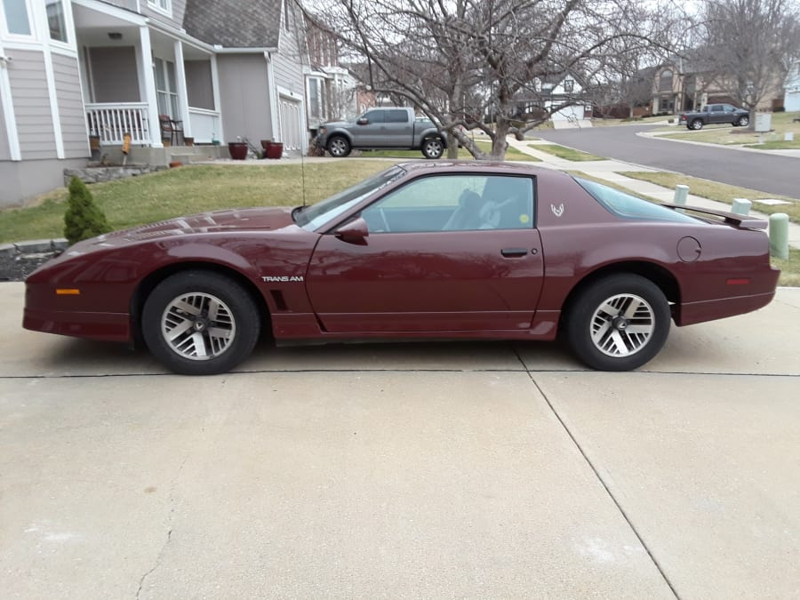 1985 Pontiac Trans Am for Sale at Auction - Mecum Auctions