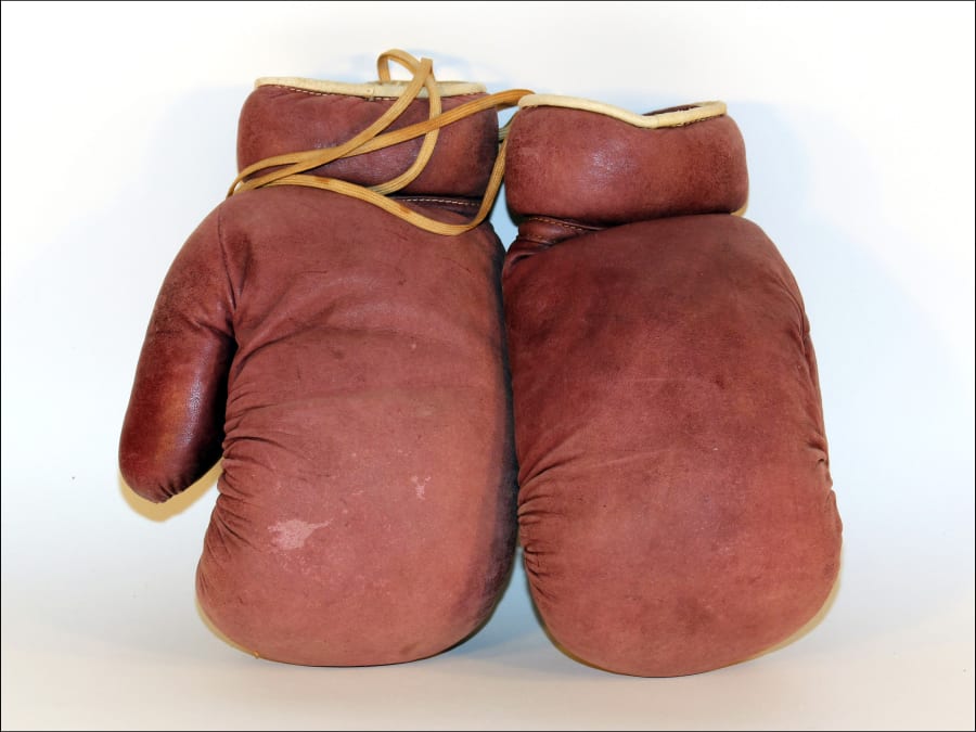 Sailor Vincent Boxing Gloves at Santa Monica 2013 as F186 - Mecum Auctions