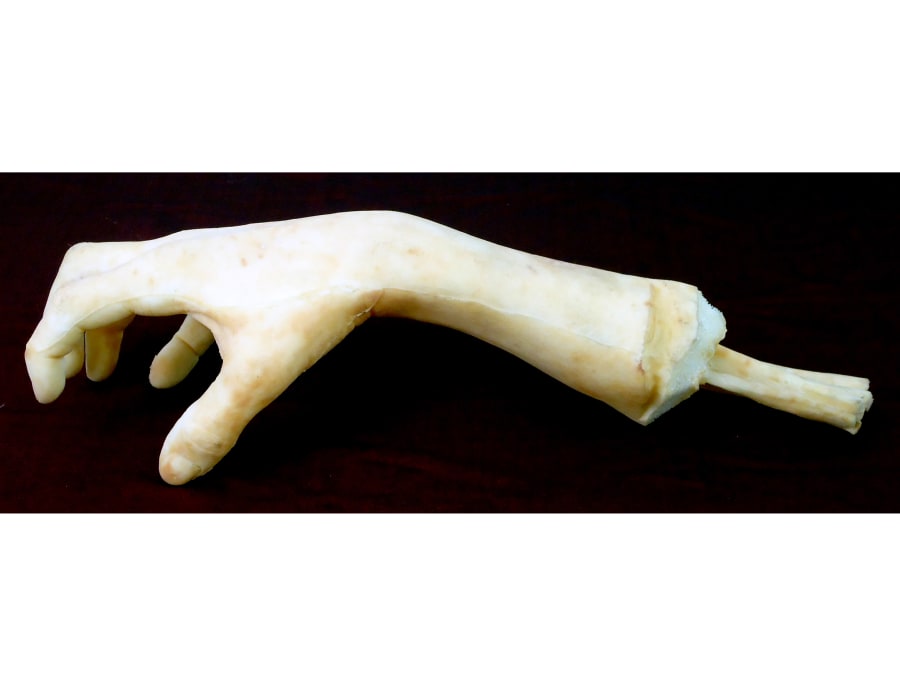 Cabin In The Woods Judah Prop Hand at Santa Monica 2013 as S286 - Mecum ...