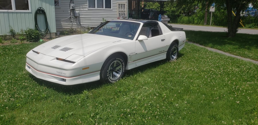 1986 Pontiac Trans Am for Sale at Auction - Mecum Auctions