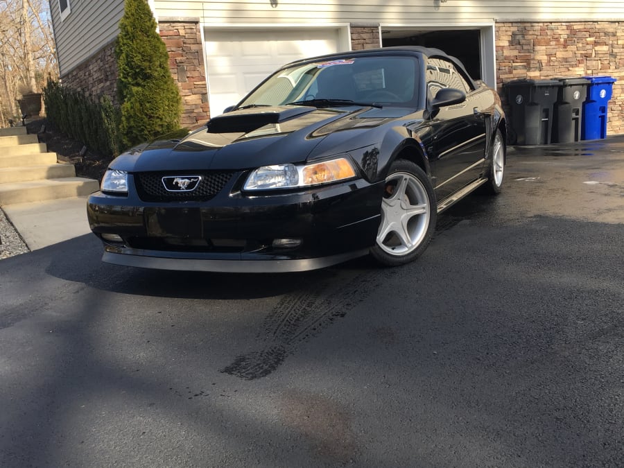 2000 Ford Mustang GT Convertible for Sale at Auction - Mecum Auctions